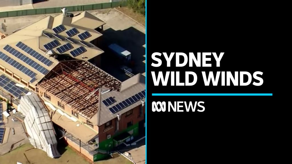 Thousands of homes without power after wild winds lash Sydney - ABC News