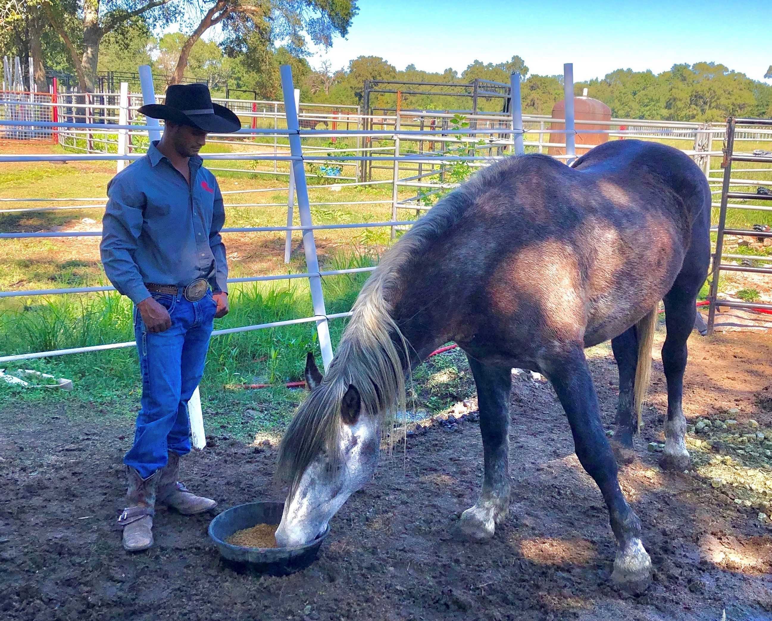 Australian rodeo champion Anthony Thomas credits Kimberley for his ...