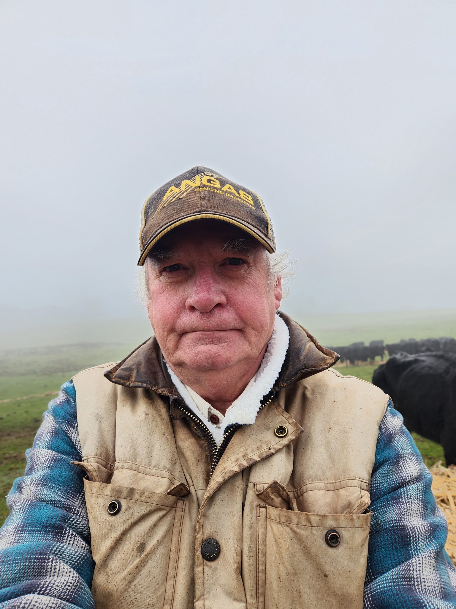 Critics warn feral pig controls are failing, costing farmers more than ...