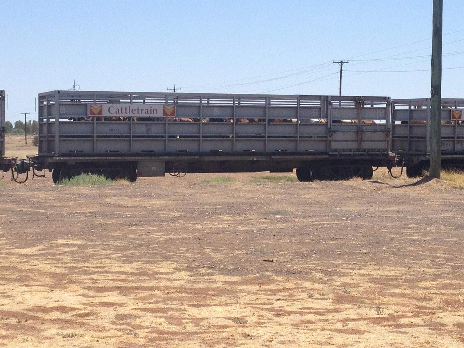 Outback cattle train trial becomes permanent - ABC News