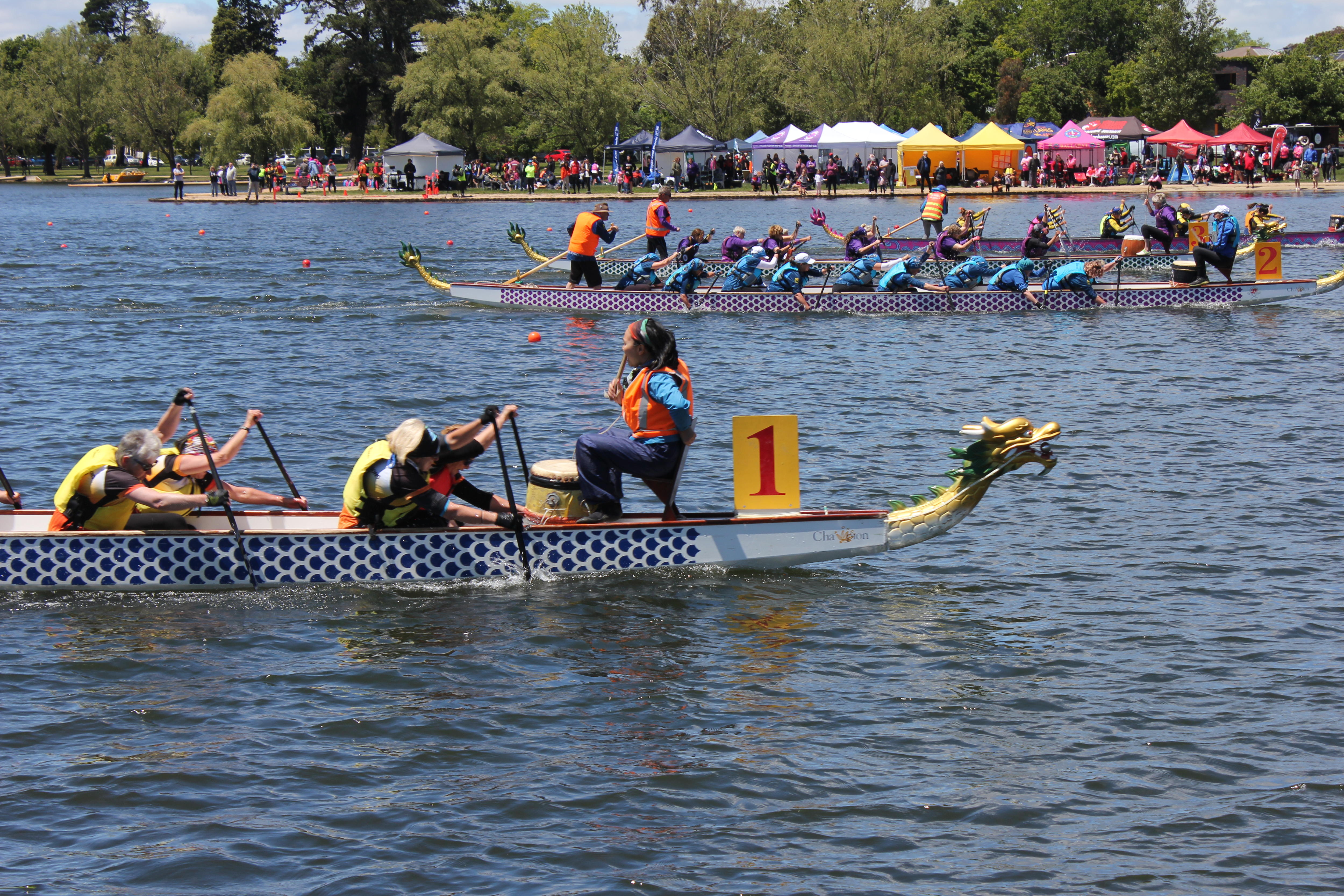 Dragon Boat Racing in Australia - ABC listen