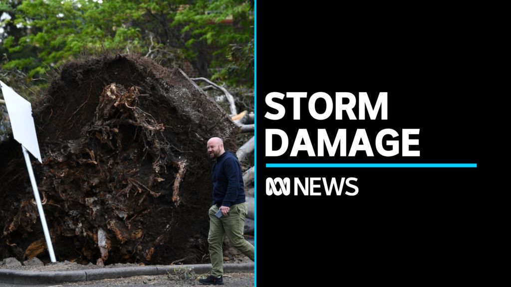 A year since unprecedented storms lashed parts of Victoria - ABC News