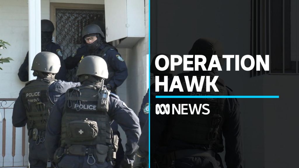 Police make over 100 arrests in underworld crackdown - ABC News