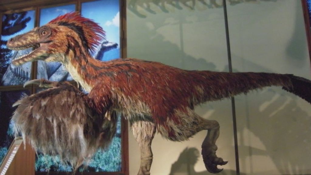 Interview: How fearsome reptiles became the birds of our backyard - ABC ...