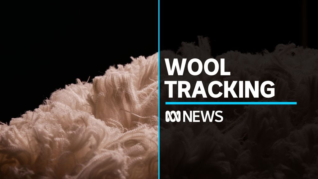 The technology revolutionising the wool industry - ABC News