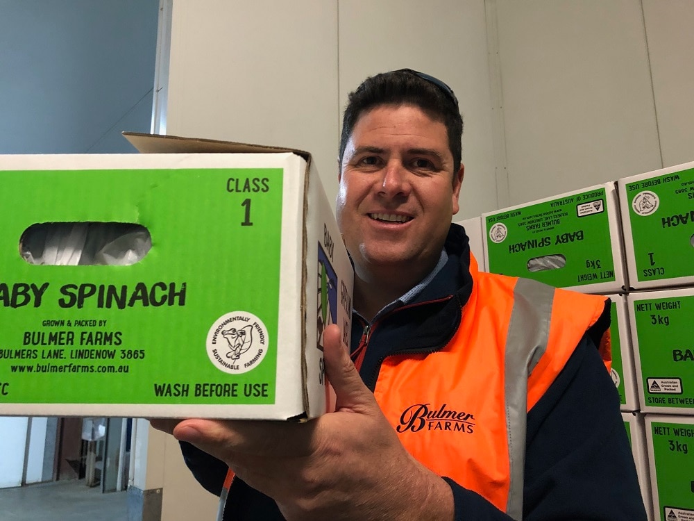 Spinach production grows 20pc in past year with rise in popularity of ...