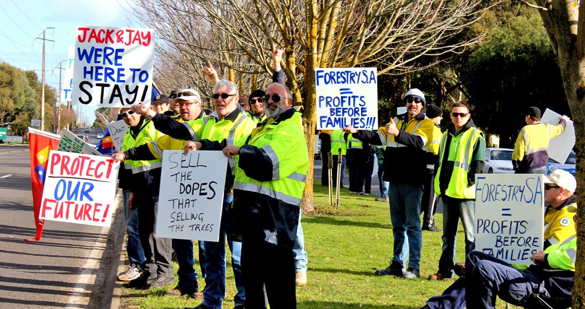Striking timber workers rally over log prices - ABC News