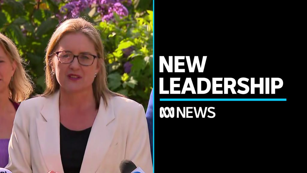Victoria’s new premier: who is Jacinta Allan? - ABC News