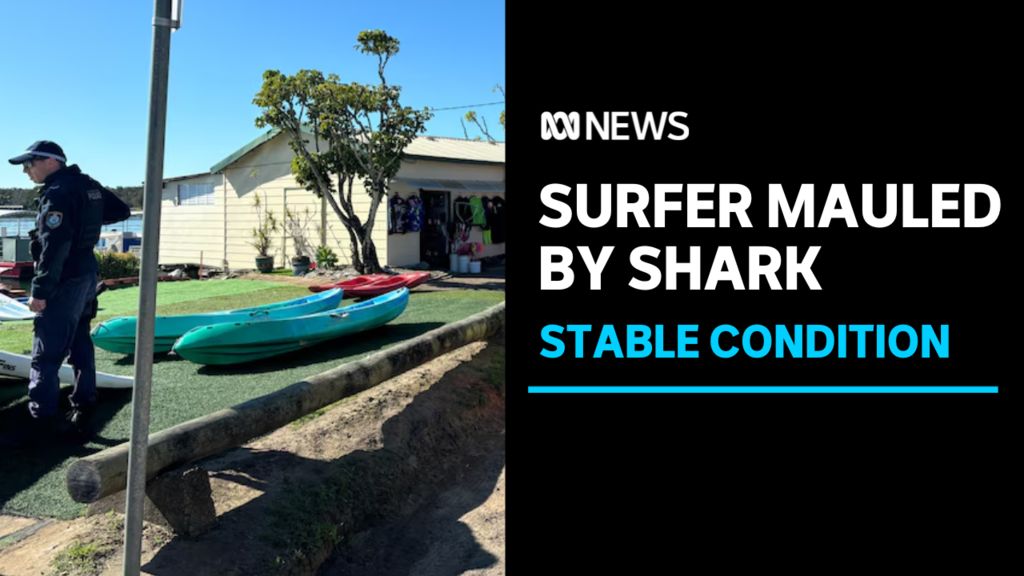 Man suffers serious leg injury in a shark attack in northern NSW - ABC News