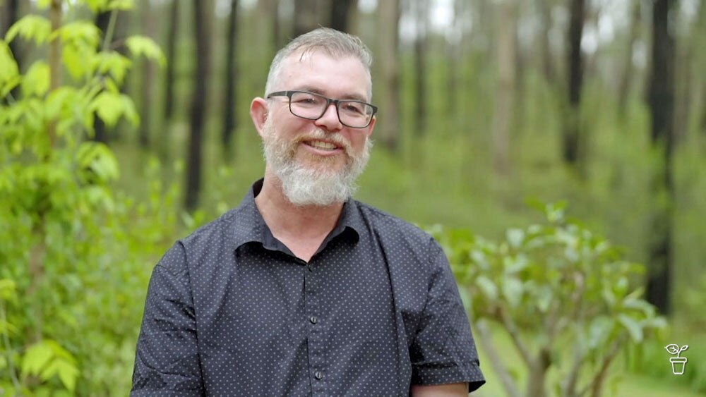 My Garden Path | Greg Bourke - Gardening Australia