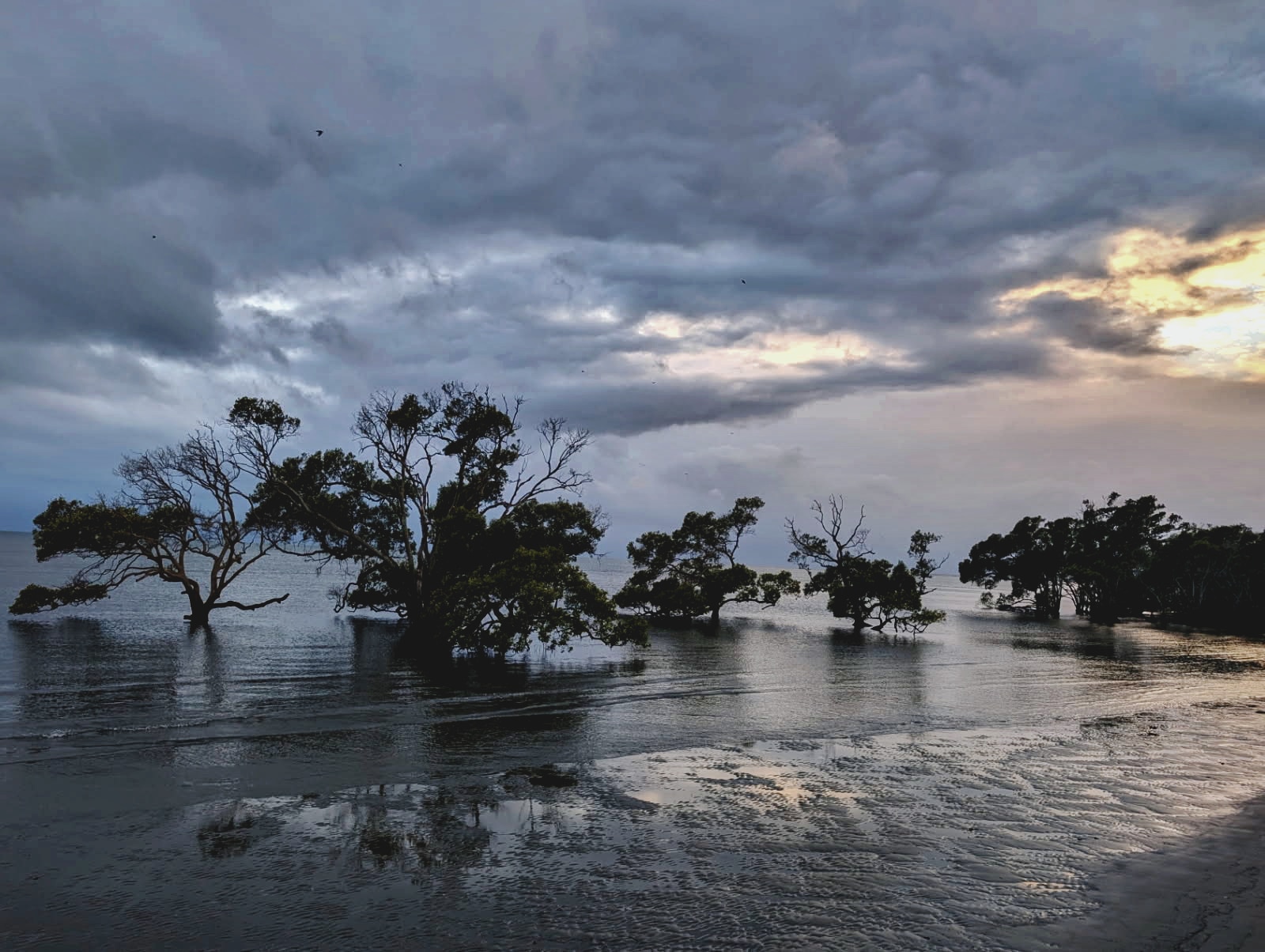 Ex-cyclone Jasper causes chaos in north Queensland - ABC News