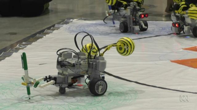 The Bee Dance Abc Education