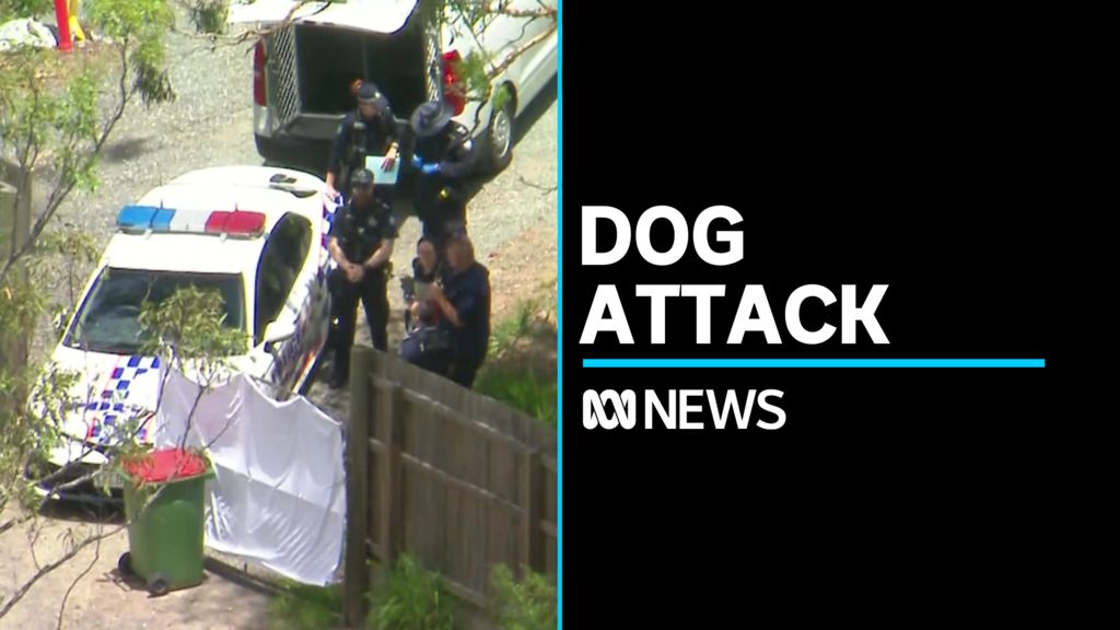 Dogs that fatally mauled Energex-contracted meter reader Kane Minion at ...