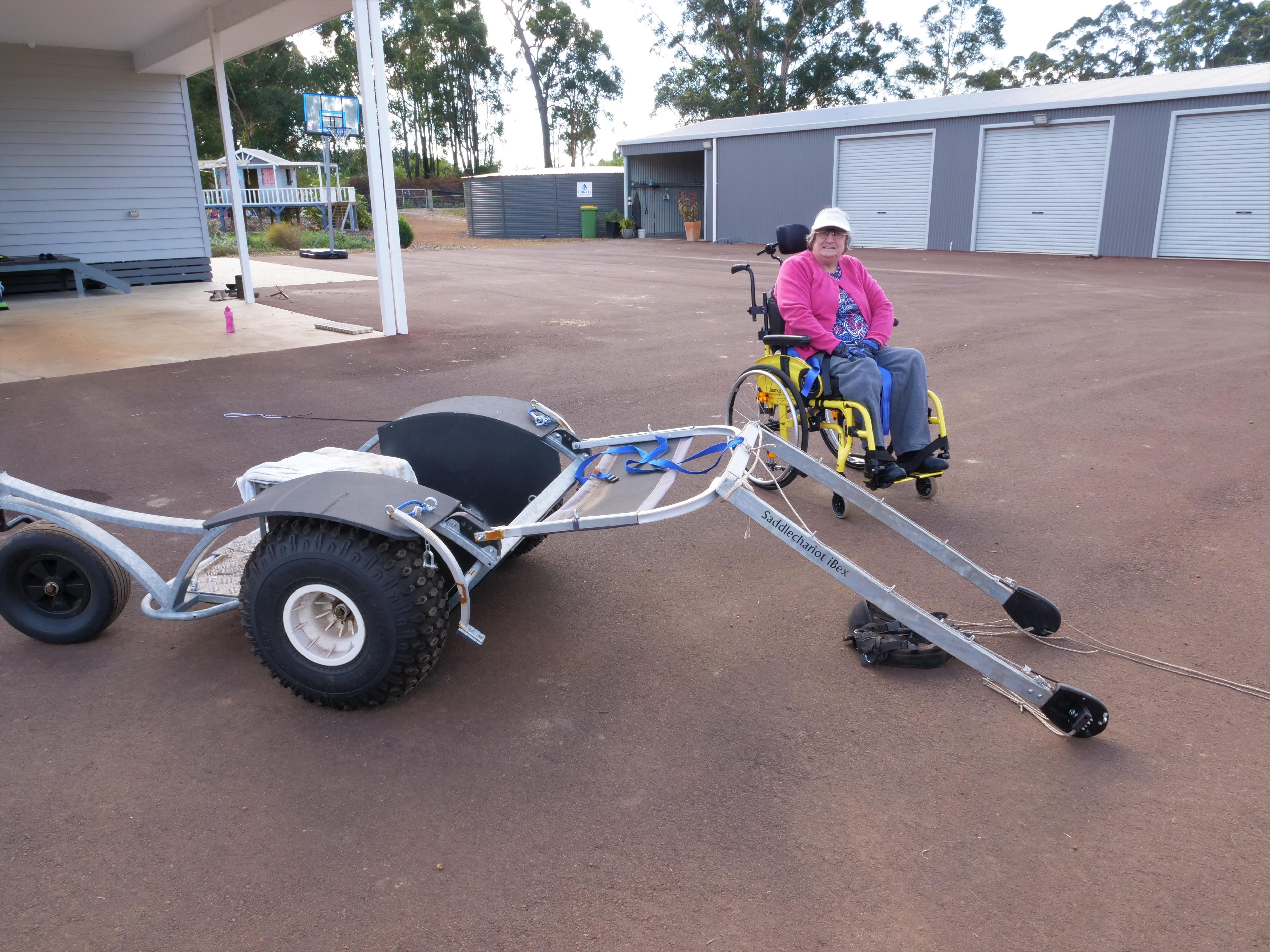WA woman explores the bush in her wheelchair-friendly horse and cart ...