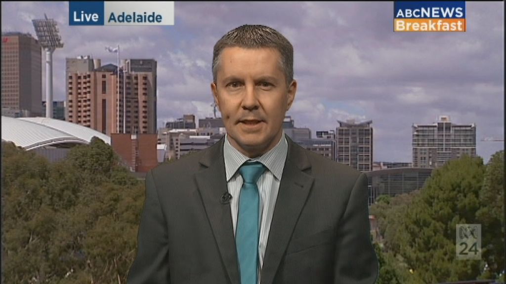 Mark Butler speaks on climate change politics - ABC News