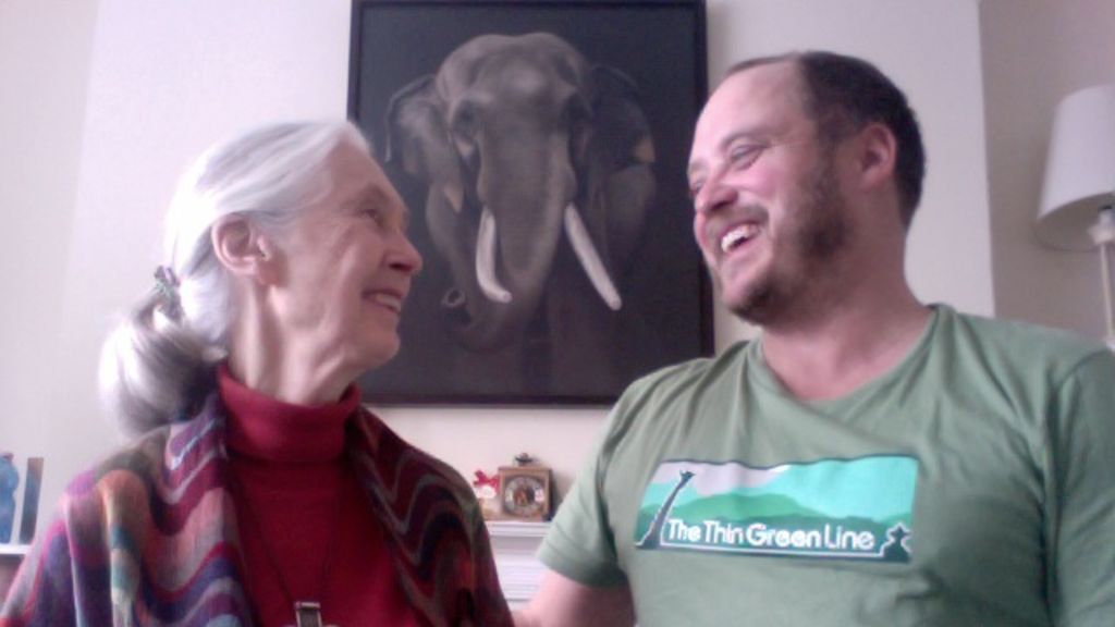 Brigid Donovan - ABC News