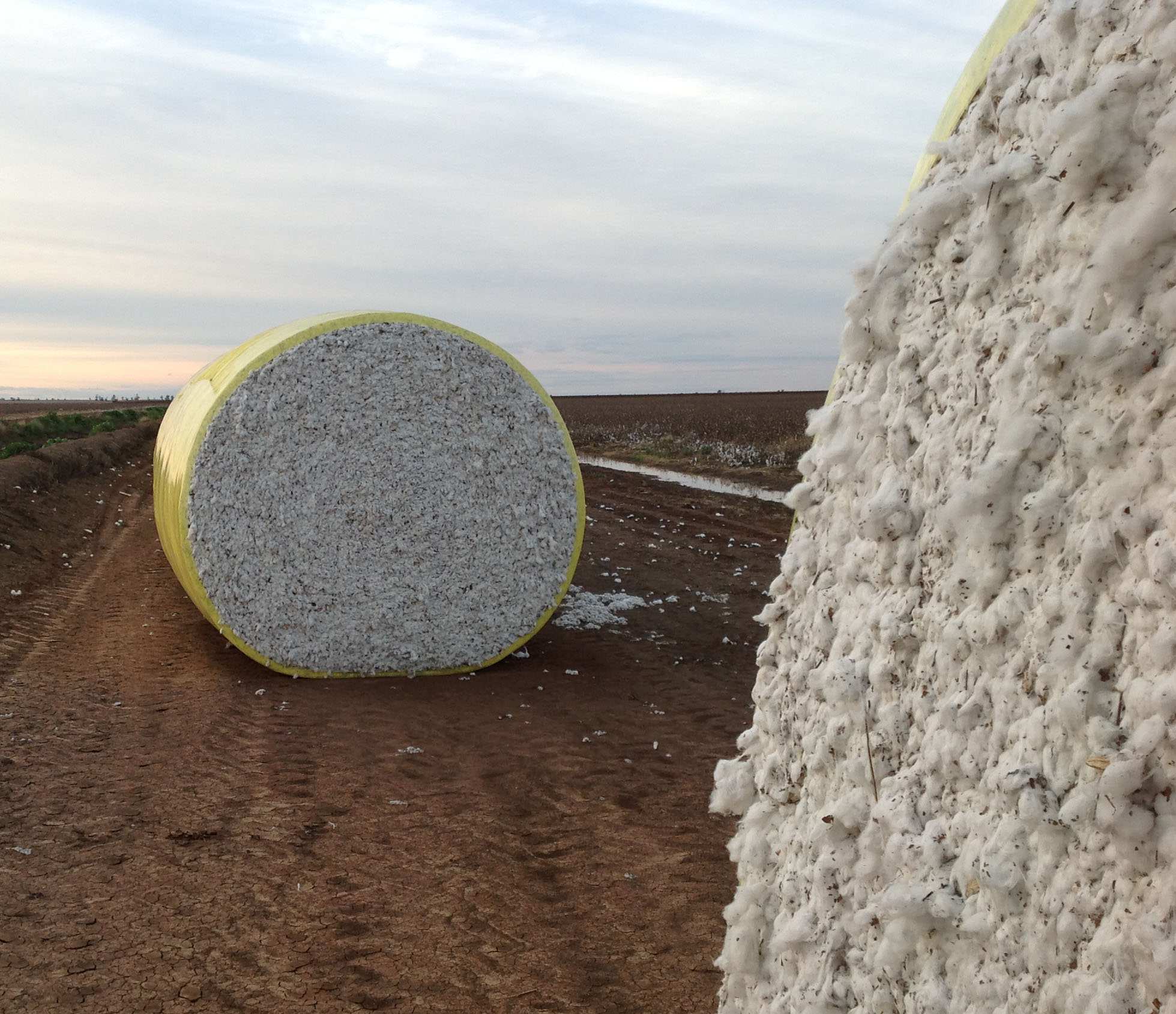 Ian Cole on the sale of Darling Farms at Bourke - ABC News