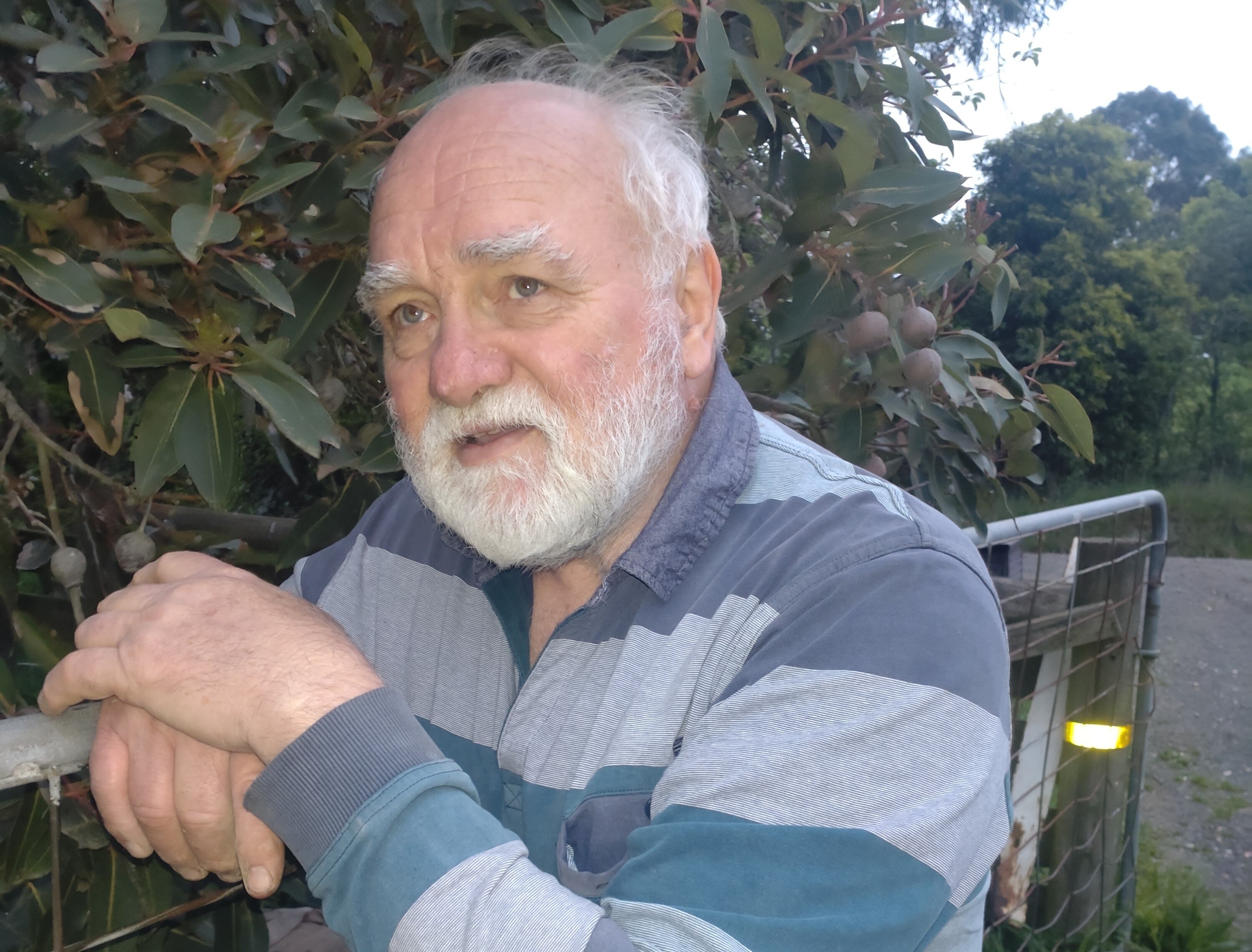 NDIS participants, families and lawyers allege breaches of NDIA's model ...