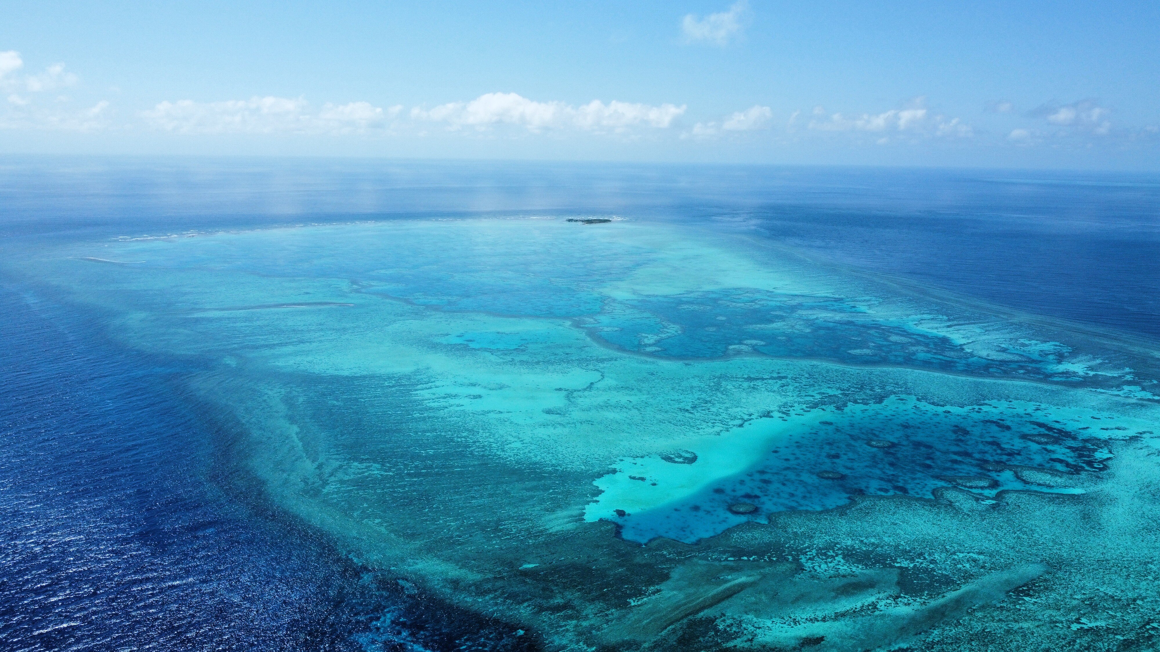 Coral bleaching study off One Tree Island finds 'shocking' damage, but ...