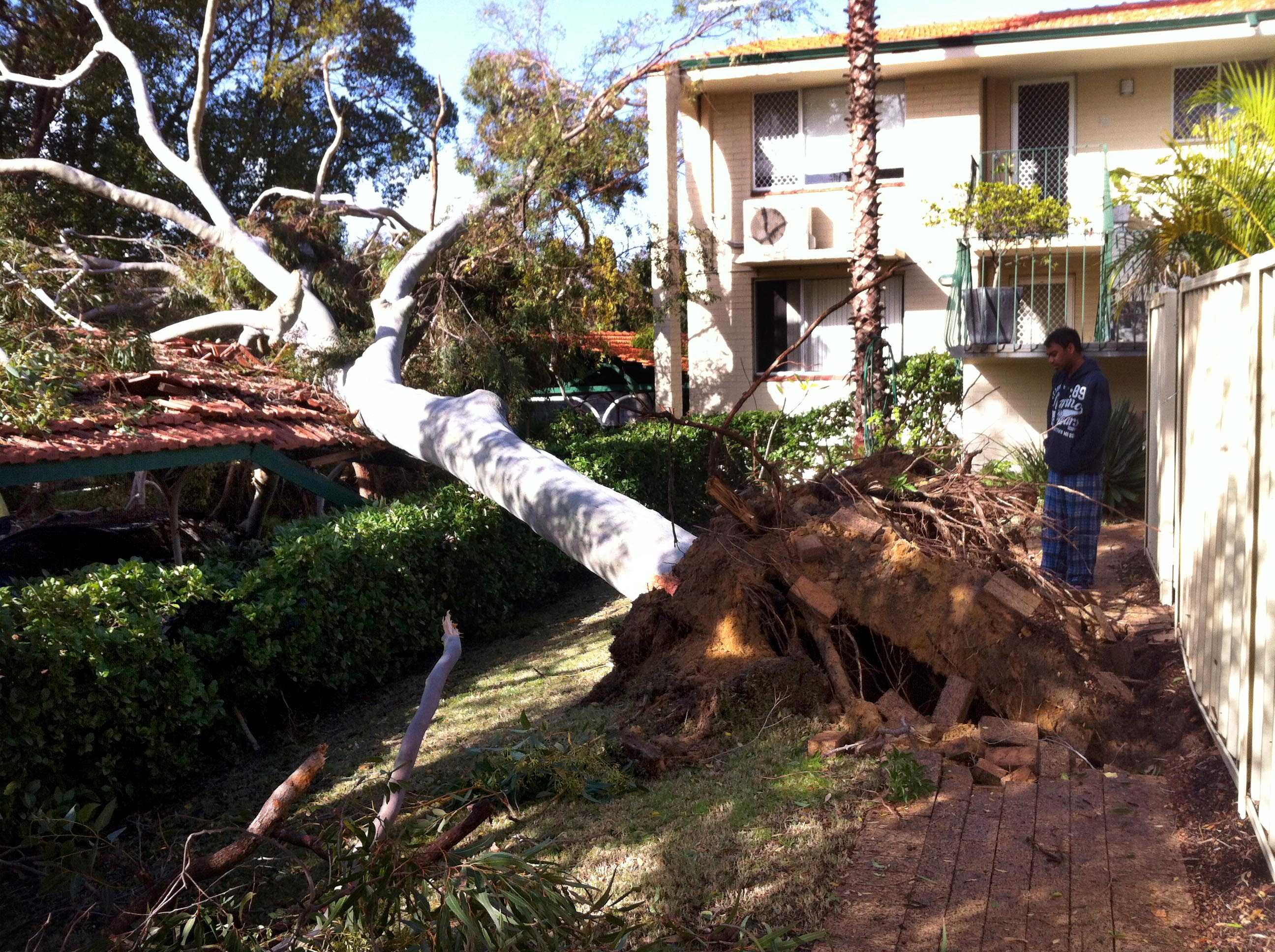 Two dead after storms blackout thousands of Perth homes - ABC listen