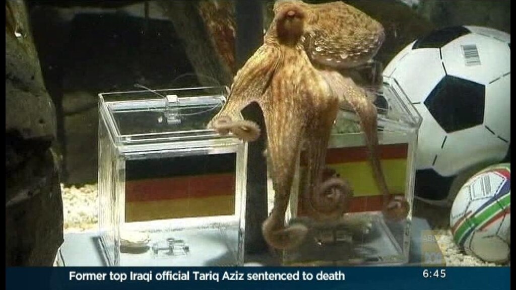 Oracle octopus Paul dies - ABC News