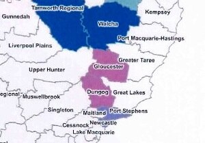 Dungog Council calls for transparency over amalgamation report - ABC News