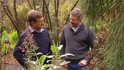 In Conversation: Stephen Ryan and Angus Stewart - Gardening Australia