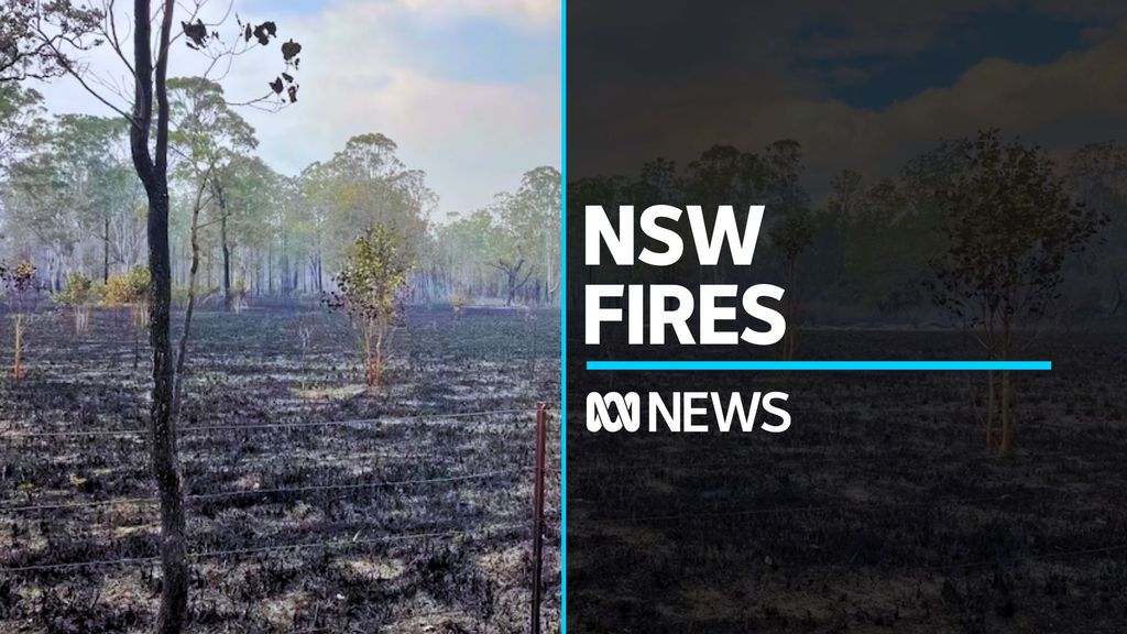 One dead, more properties feared lost as NSW bushfire threat continues ...