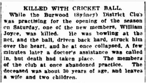 Cricket death report highlights need for more neck and chest protection ...