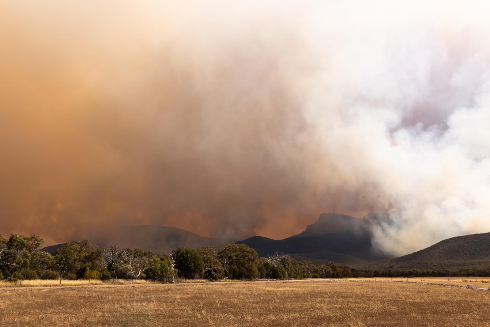 Stock losses, property damage from Grampians National Park bushfire ...