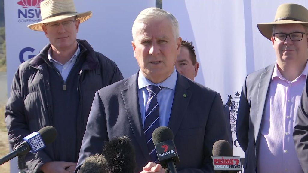 Acting PM says Murugappan family will be reunited in Perth - ABC News