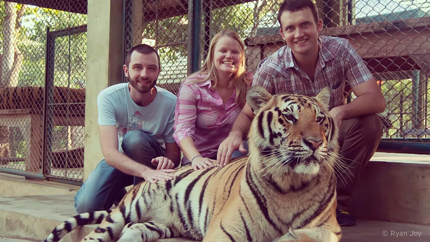 Animal Tourism - Behind The News