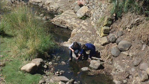 A Rivulet Runs Through It - Gardening Australia