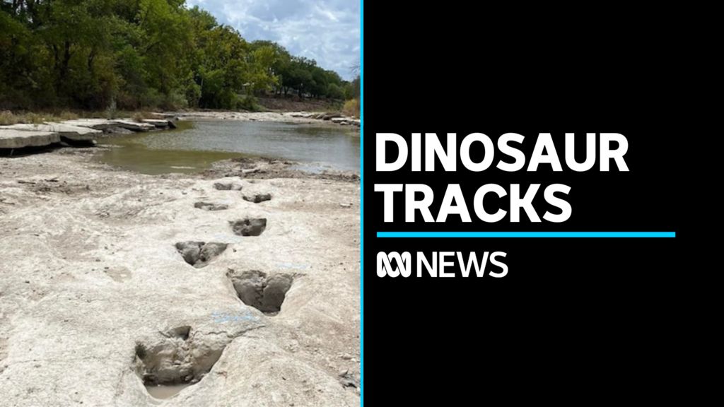 Dried up riverbed reveals 113 million-year-old dinosaur tracks - ABC News