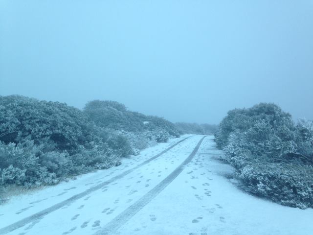 Melbourne weather: BoM warns of icy winter blast as snow hits Victoria ...