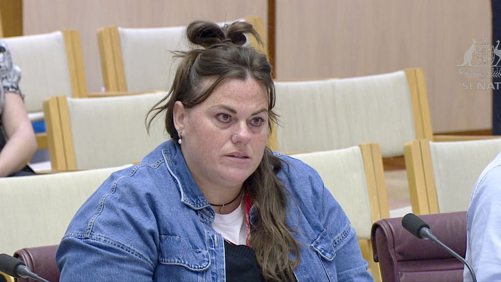 ANU academic Liz Allen tells the Senate Education and Employment ...