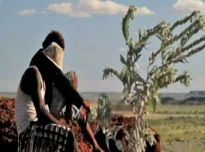 Inquest told rehabilitation services needed in Balgo - ABC News