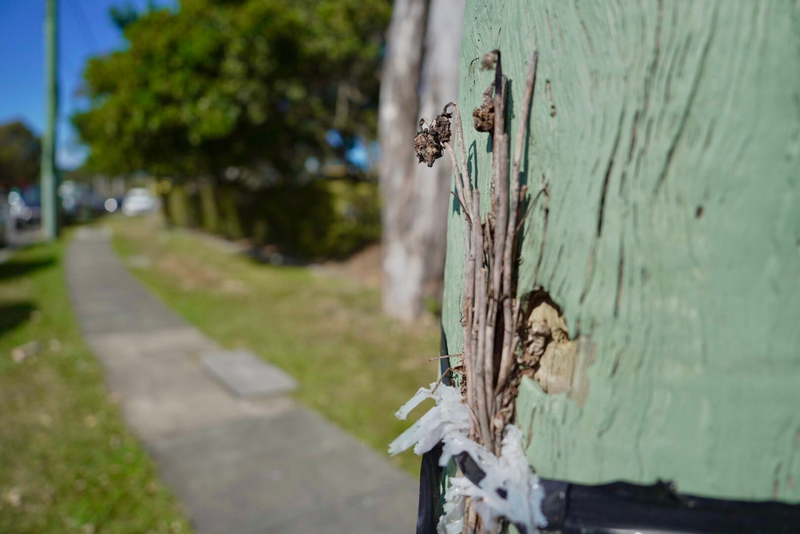 Brisbane storm electrocution of Manendra Kopparthi raises concerns ...