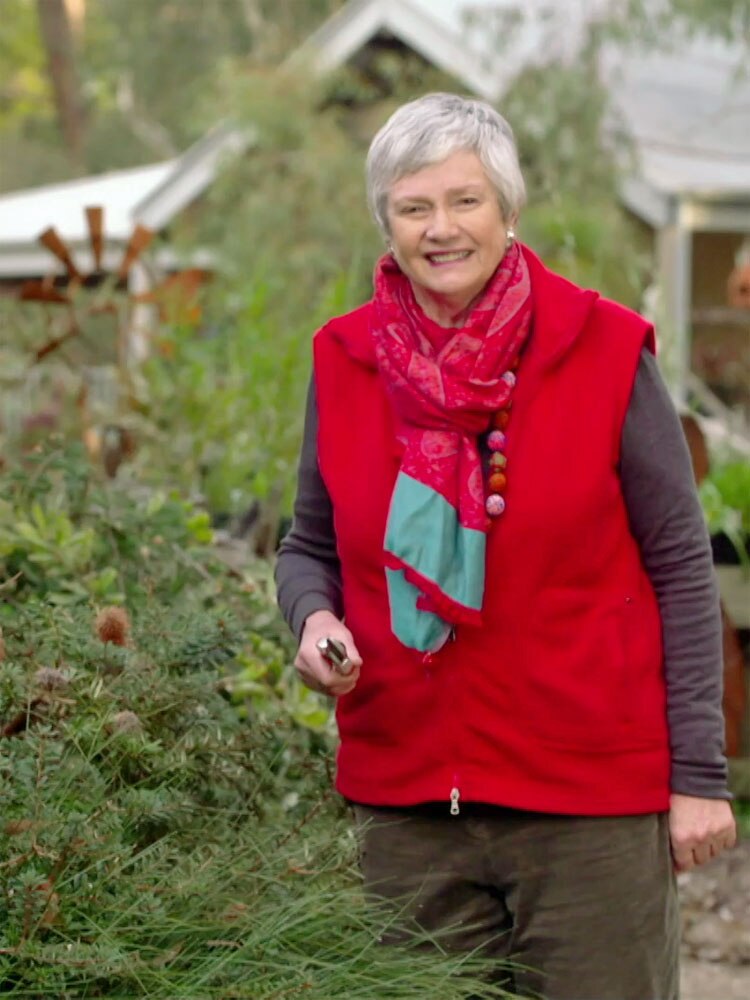 Catching up with Jane - Gardening Australia