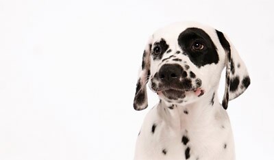 Phil Tripp - ABC News