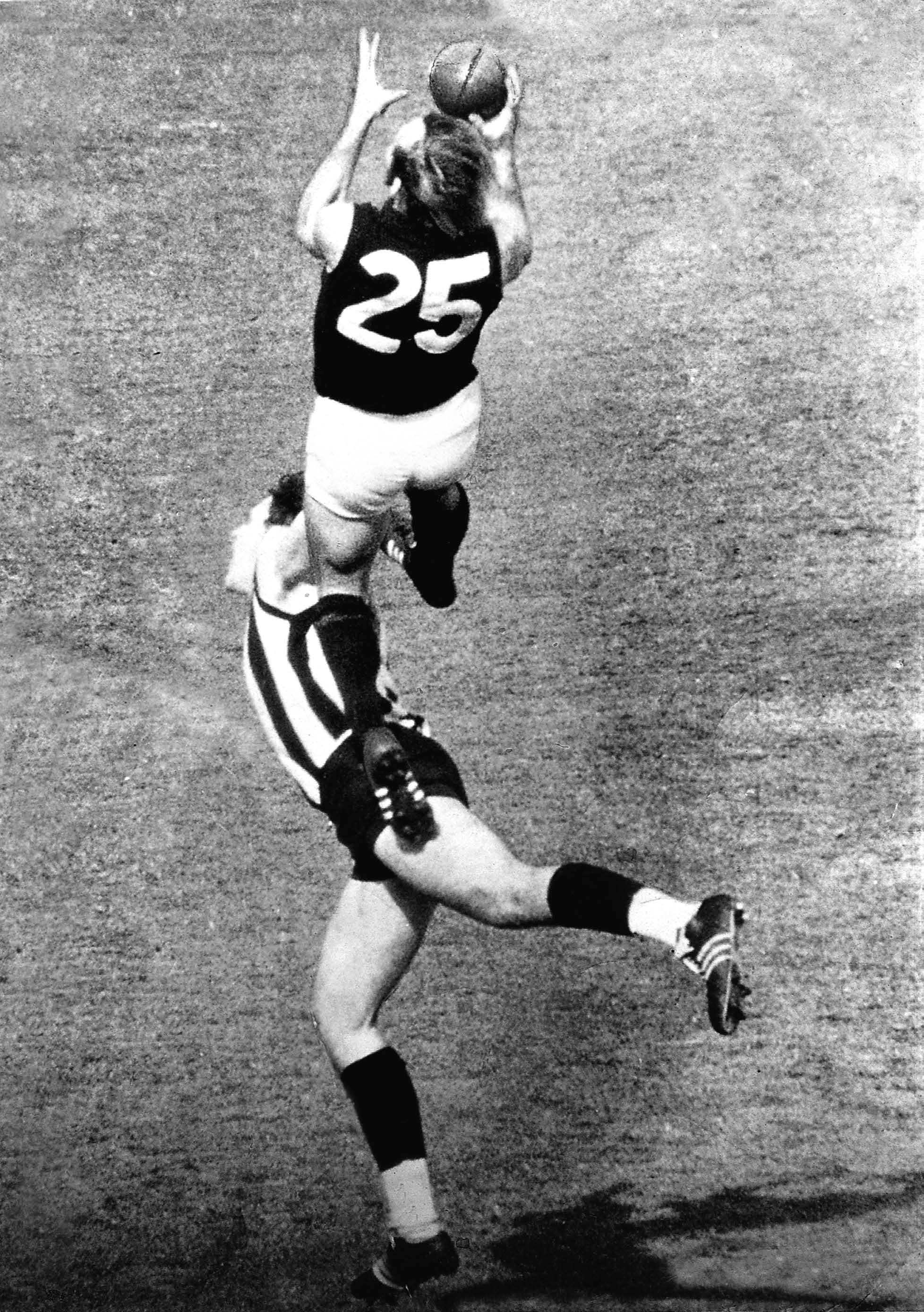 Mike Williamson, VFL commentator known for 'Jesaulenko, you beauty ...