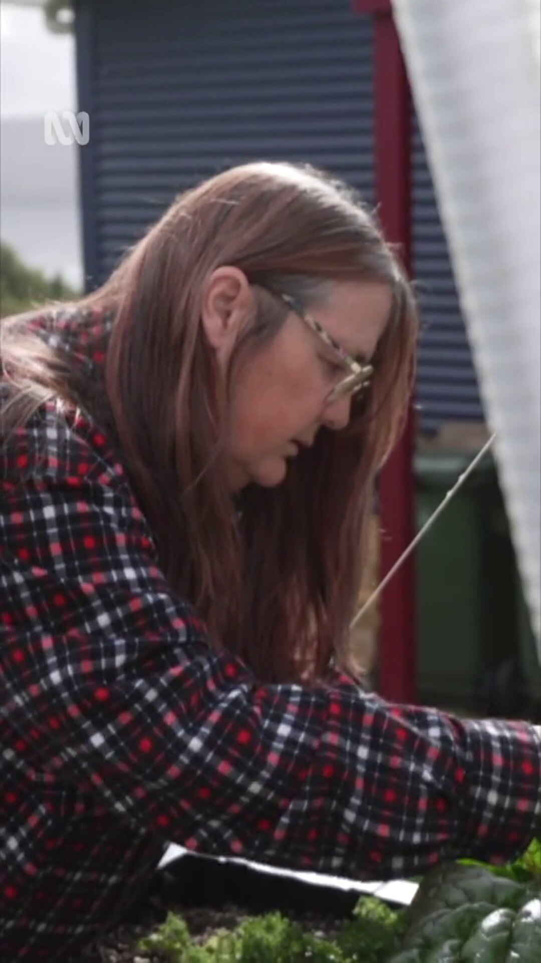 ABC News (Australian Broadcasting Corporation)