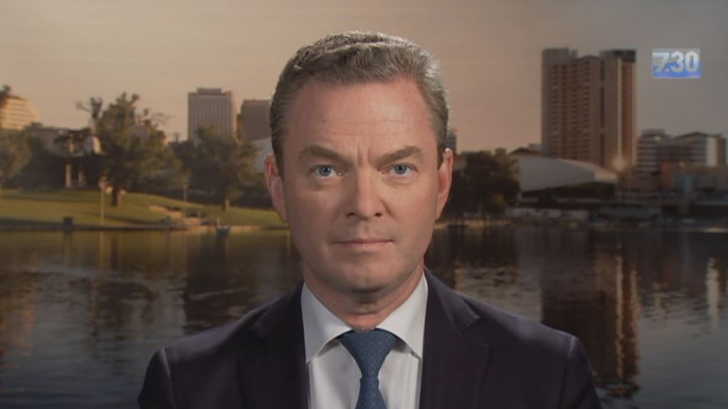 Christopher Pyne on Australia's relationship with Donald Trump - ABC News