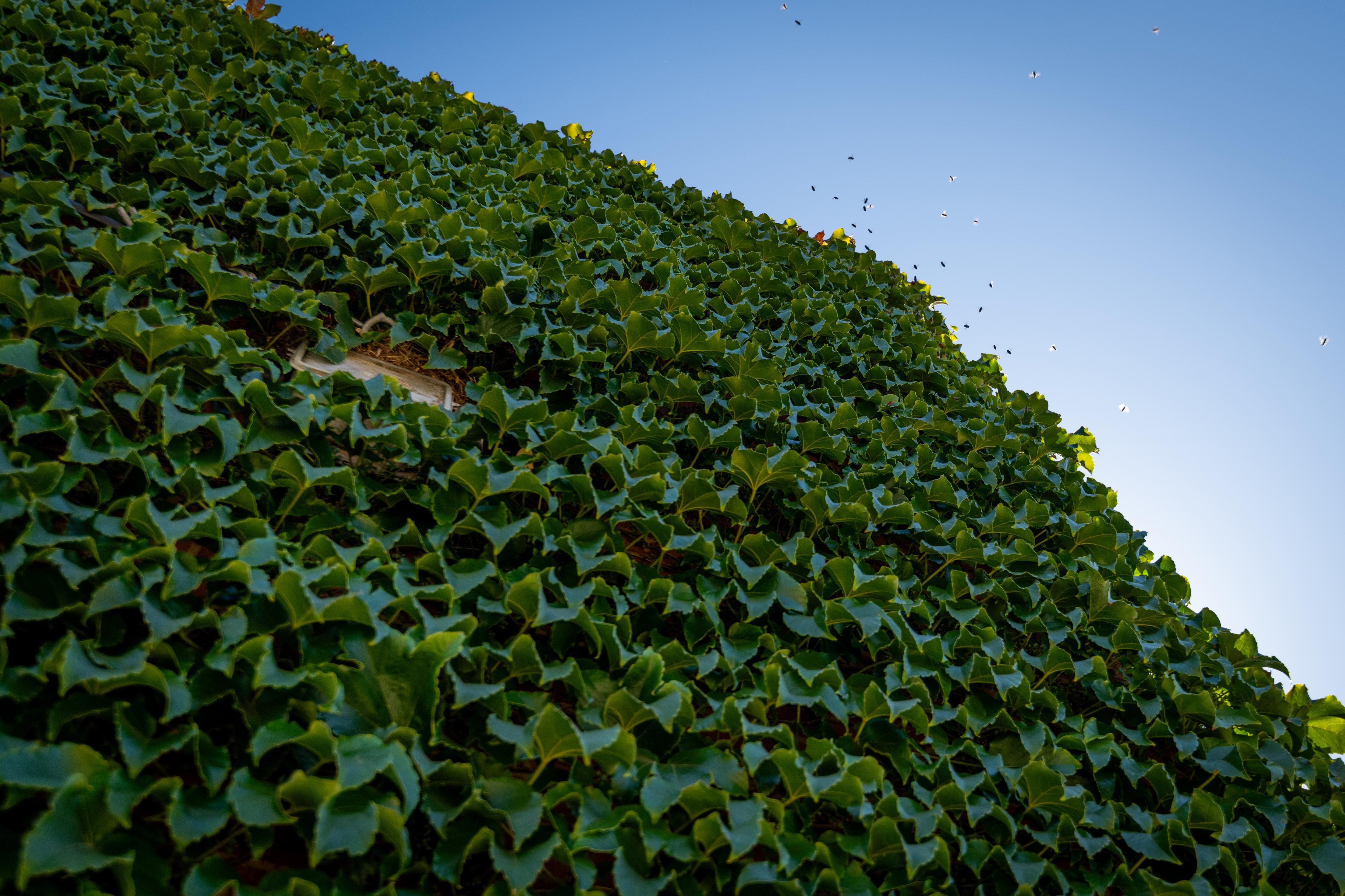 Victims of time - ABC News