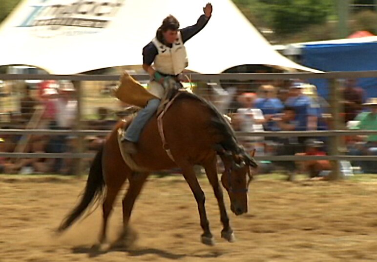 Ross rodeo covertly filmed - ABC News