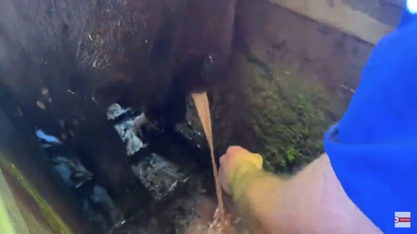 Pimple-popping community embracing Aussie farm videos - ABC News