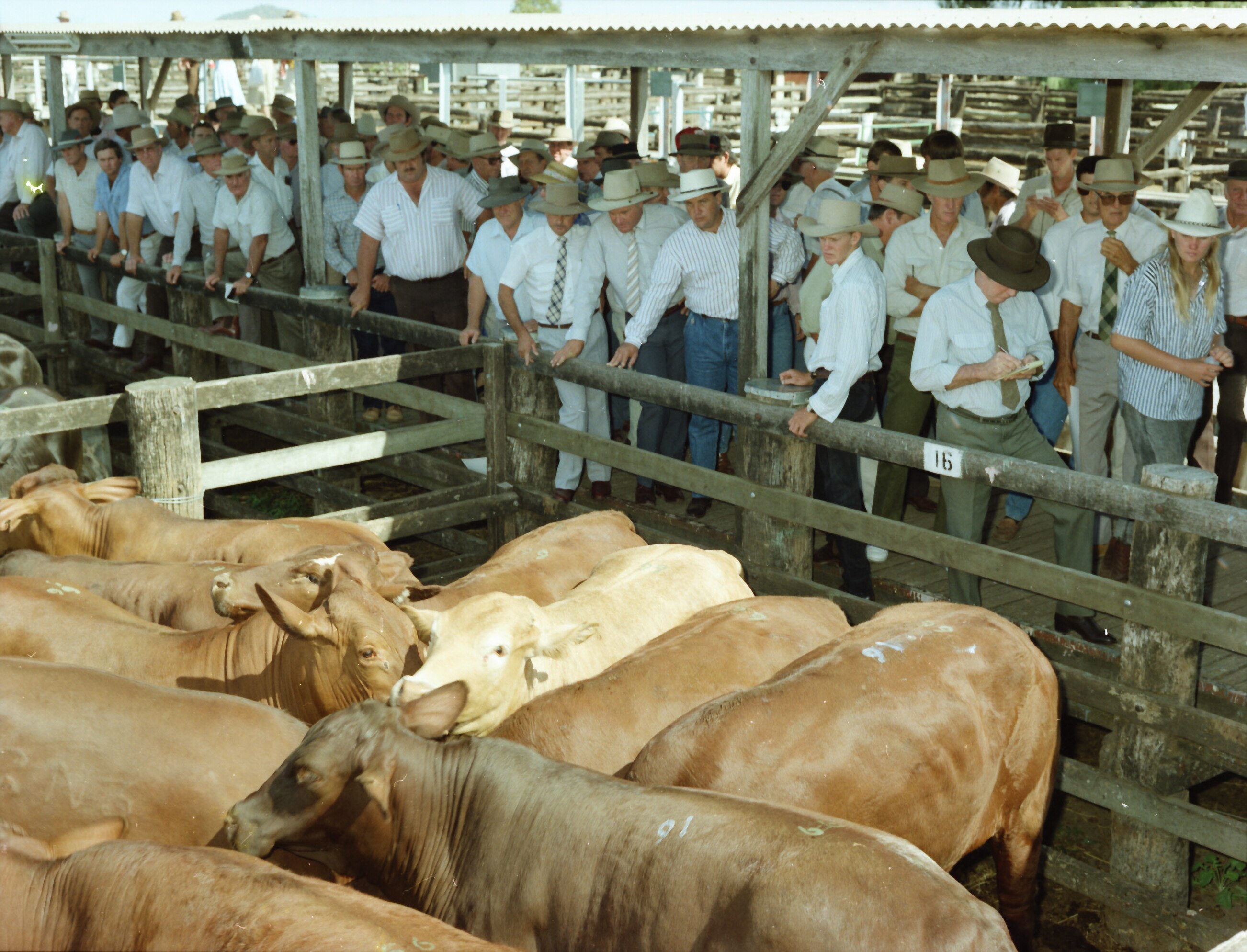 How an event every three years secured Rockhampton's place as Australia ...