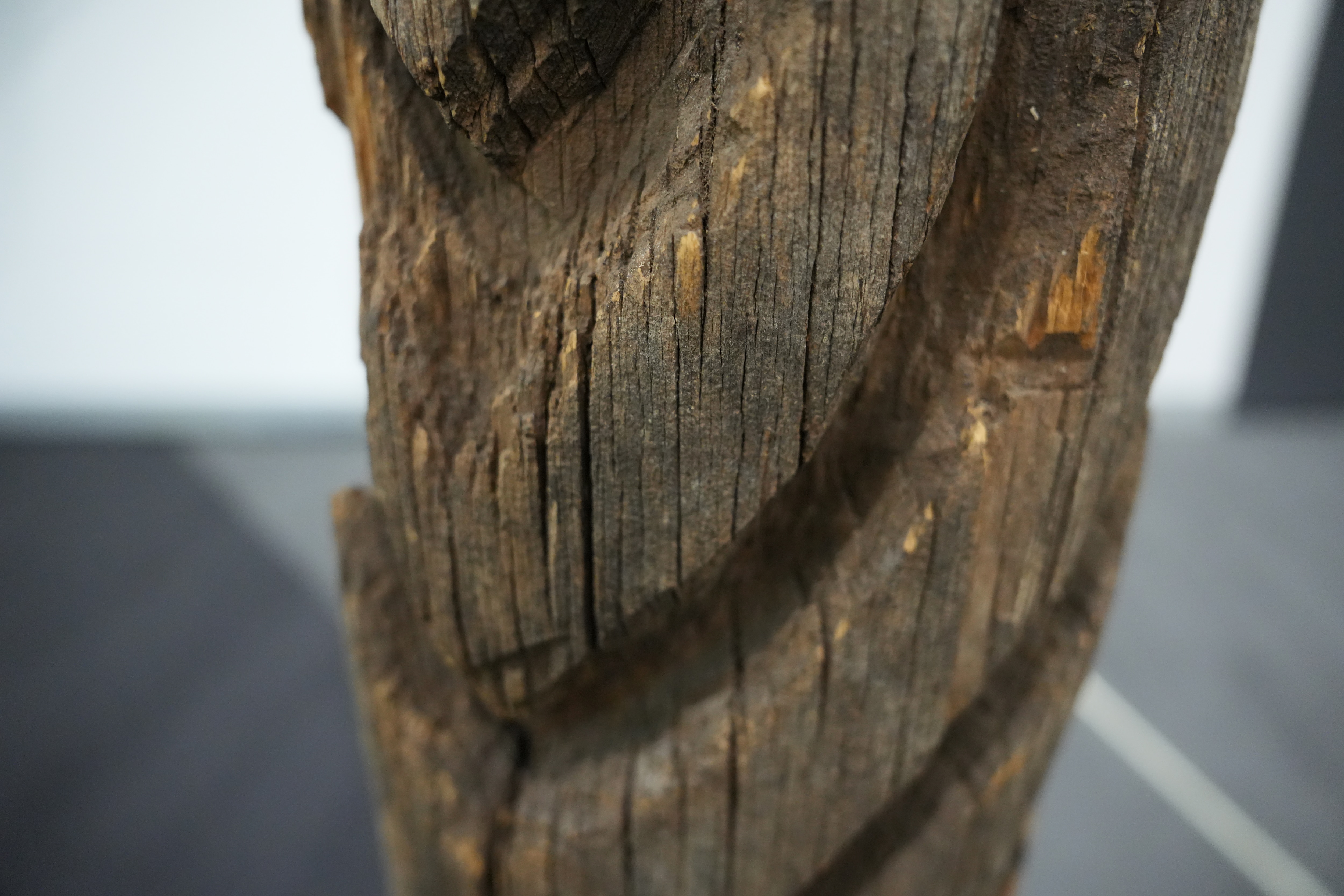 Gamilaraay sacred tree returned to Australia after eight decades in ...