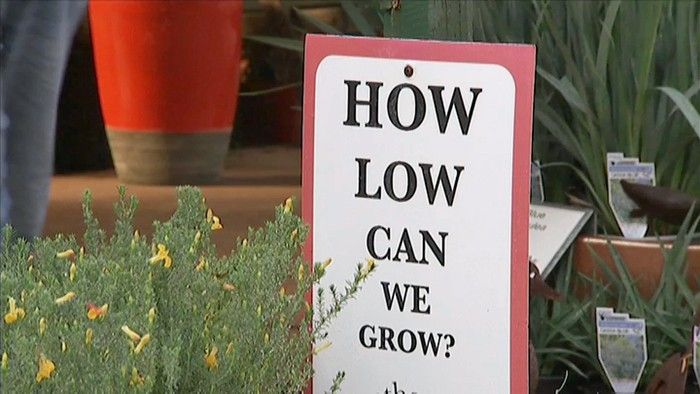 Groundwork - Gardening Australia