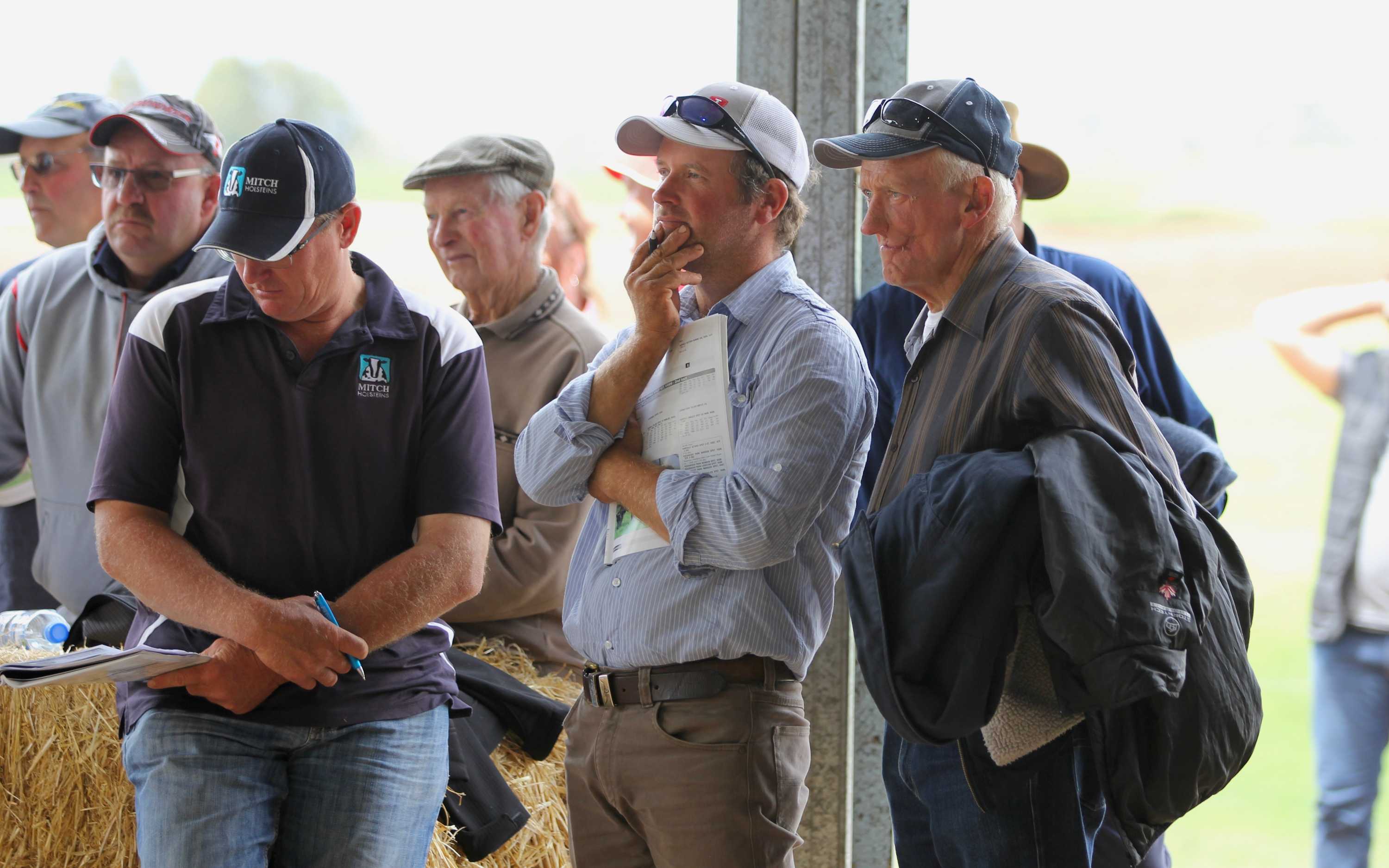 Fairvale farewell sale marks end of an era for renowned dairy breeders ...